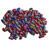 CHomP: Projects: Toplogical Data Analysis